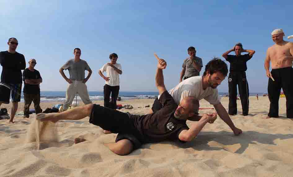 Stages de Systema - Global Systema