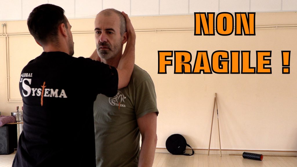 Non fragile - Global Systema