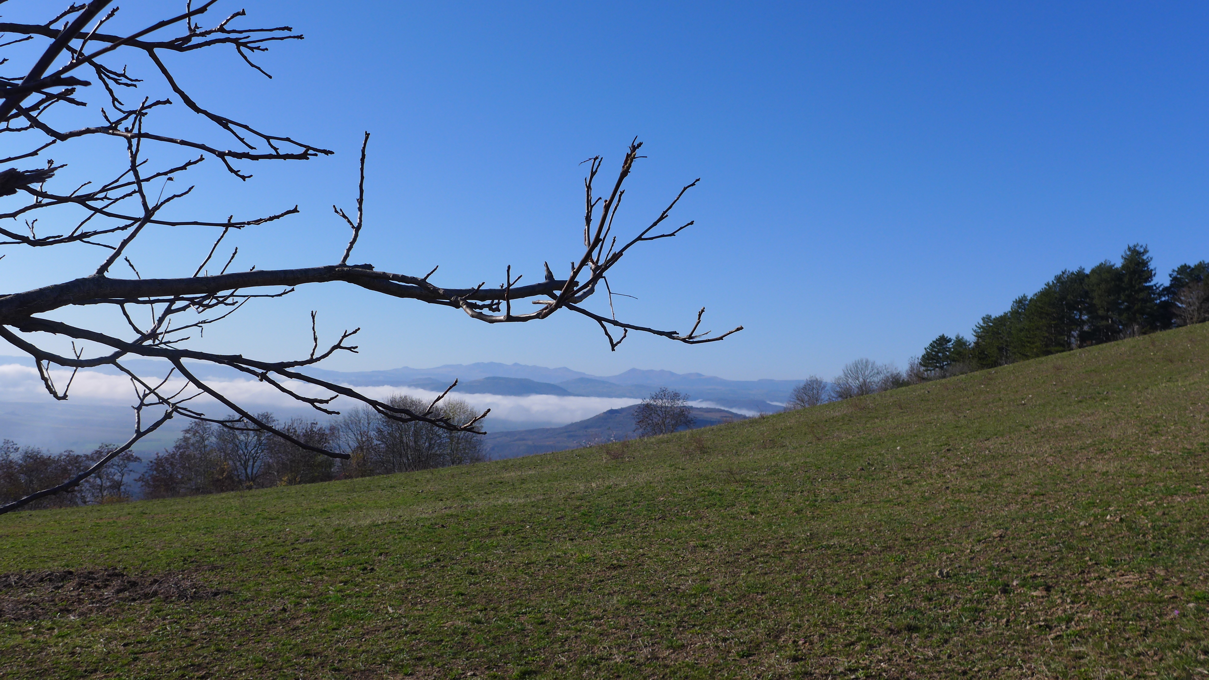 Paysage Horizon Brume - Global Systema